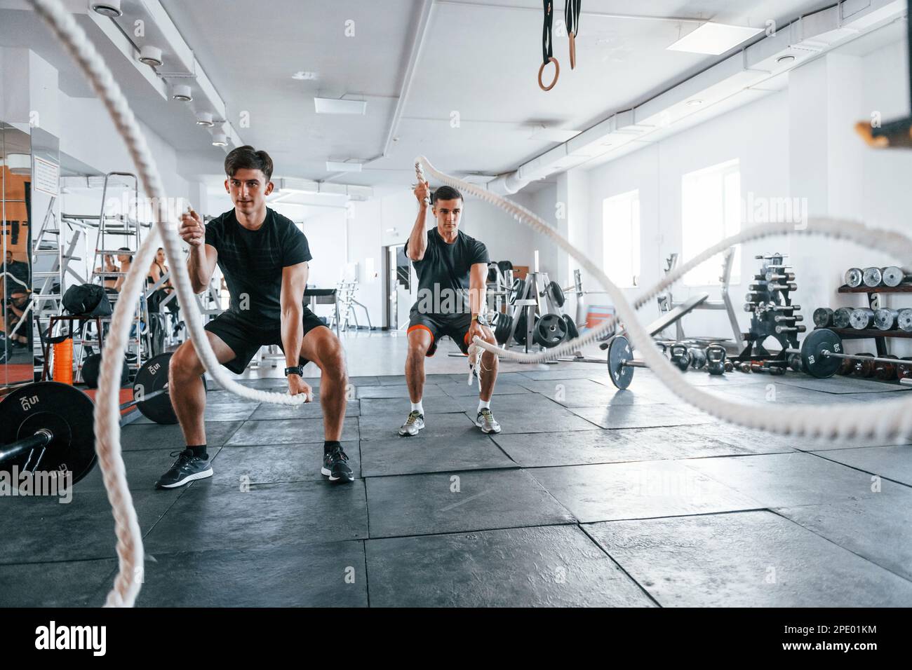 Young people with sportive body shapes doing crossfit by using knots ...