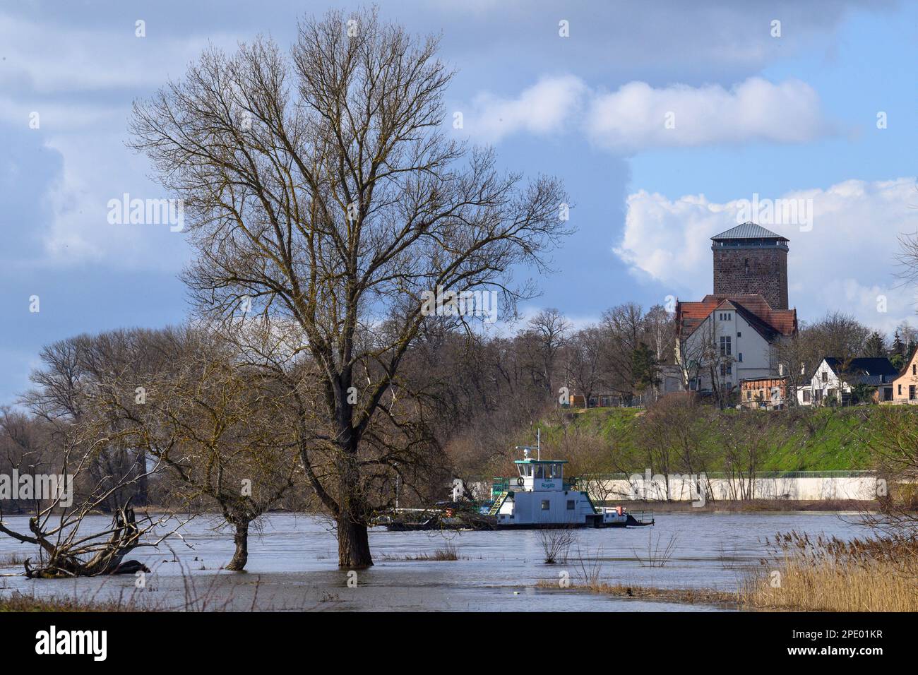 Schartau, Germany. 15th Mar, 2023. The ferry Rogätz sets behind trees standing in the water over ...