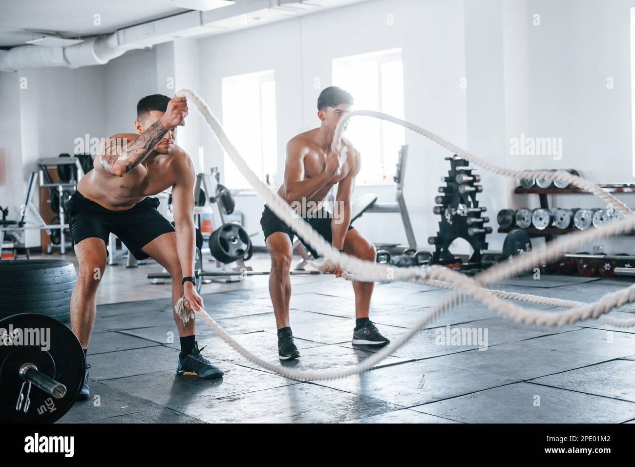 Young people with sportive body shapes doing crossfit by using knots ...