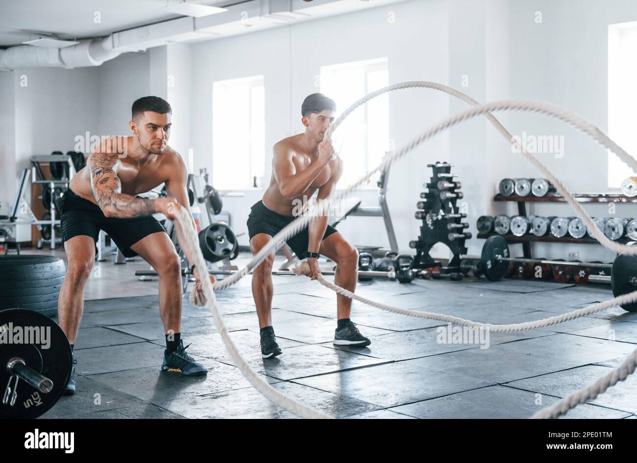 Young people with sportive body shapes doing crossfit by using knots ...