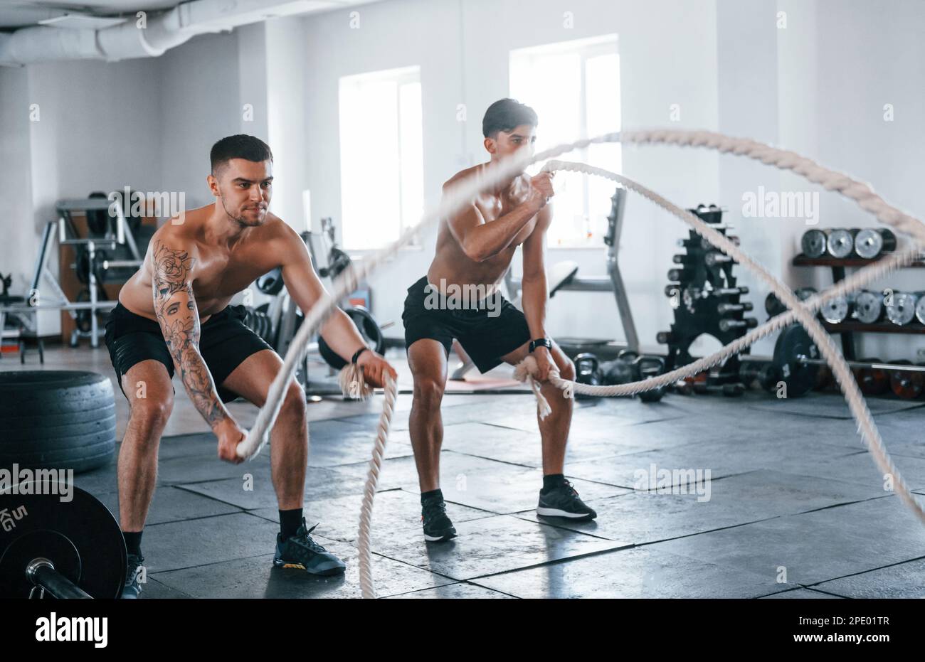 Young people with sportive body shapes doing crossfit by using knots ...