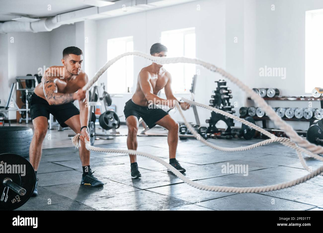 Young people with sportive body shapes doing crossfit by using knots ...