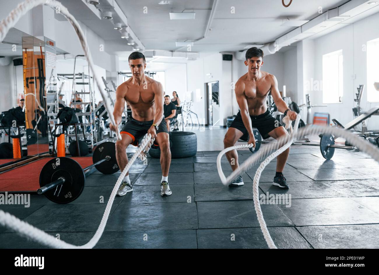 Young people with sportive body shapes doing crossfit by using knots ...