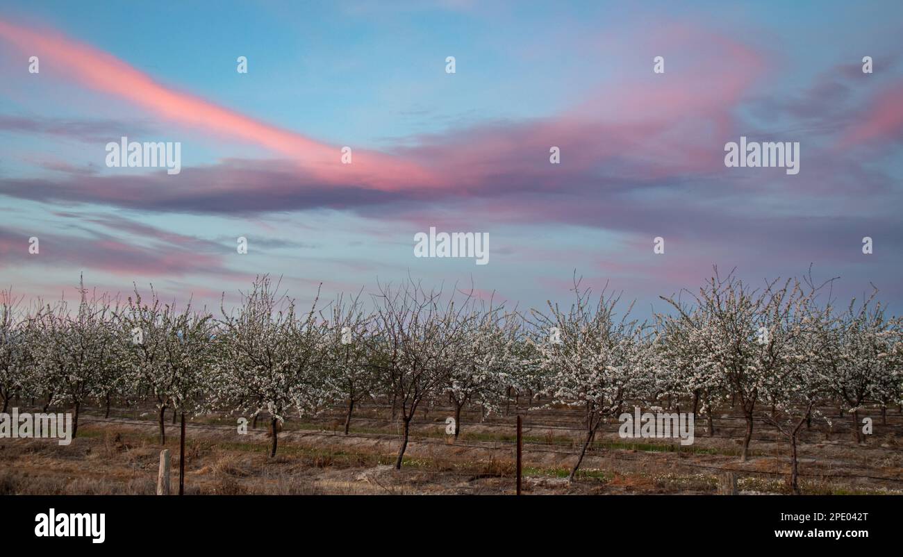 Colores en las nubes hi-res stock photography and images - Alamy