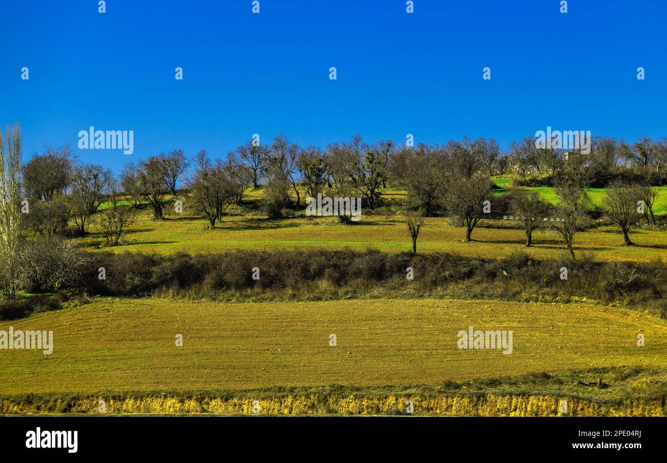 A picturesque green landscape featuring a sprawling field Stock Photo ...