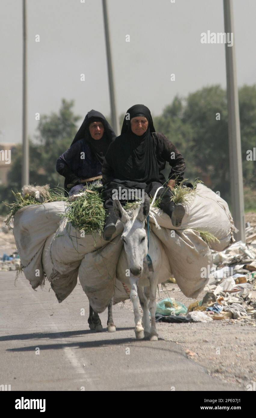 In the noon sun, elderly Iraqi women use donkeys to transport bags of ...