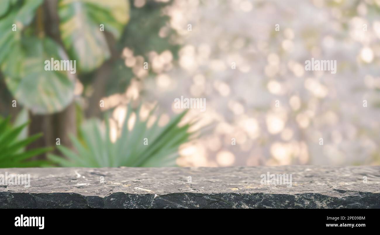 empty rock stone tabletop with misty mountain relax scene nature ...