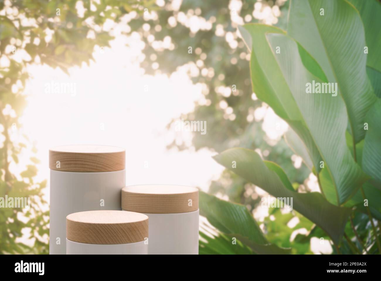 Minimal wood podium floor in outdoors nature tropical garden forest ...