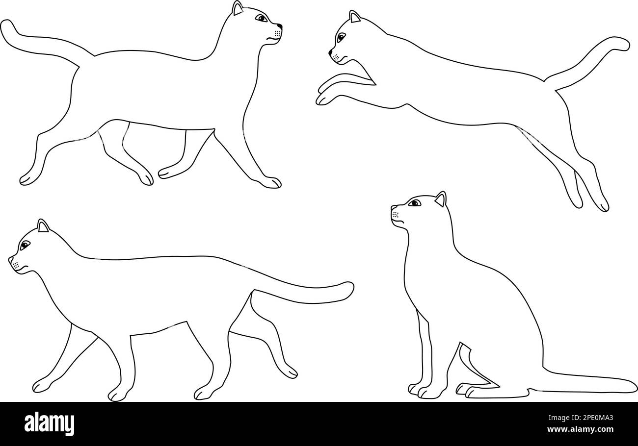 Vector set of flat hand drawn outline cats isolated on white background ...