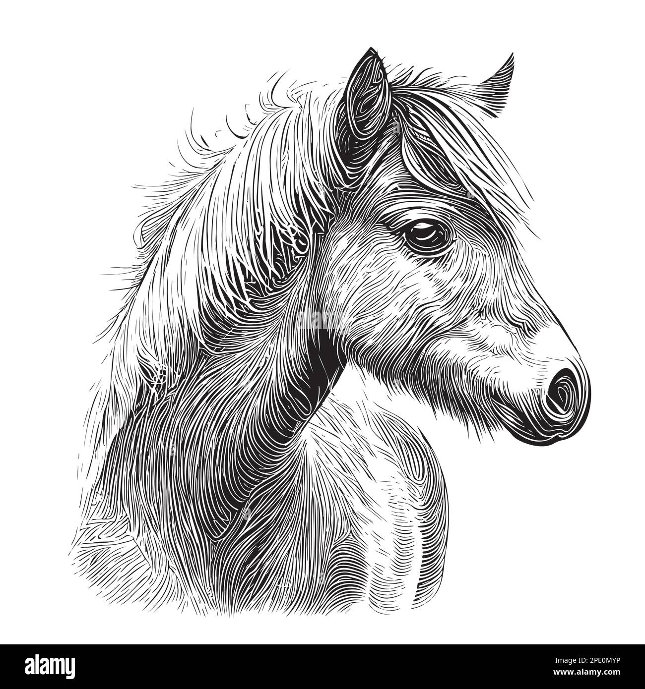 Brown shetland pony Cut Out Stock Images & Pictures - Alamy