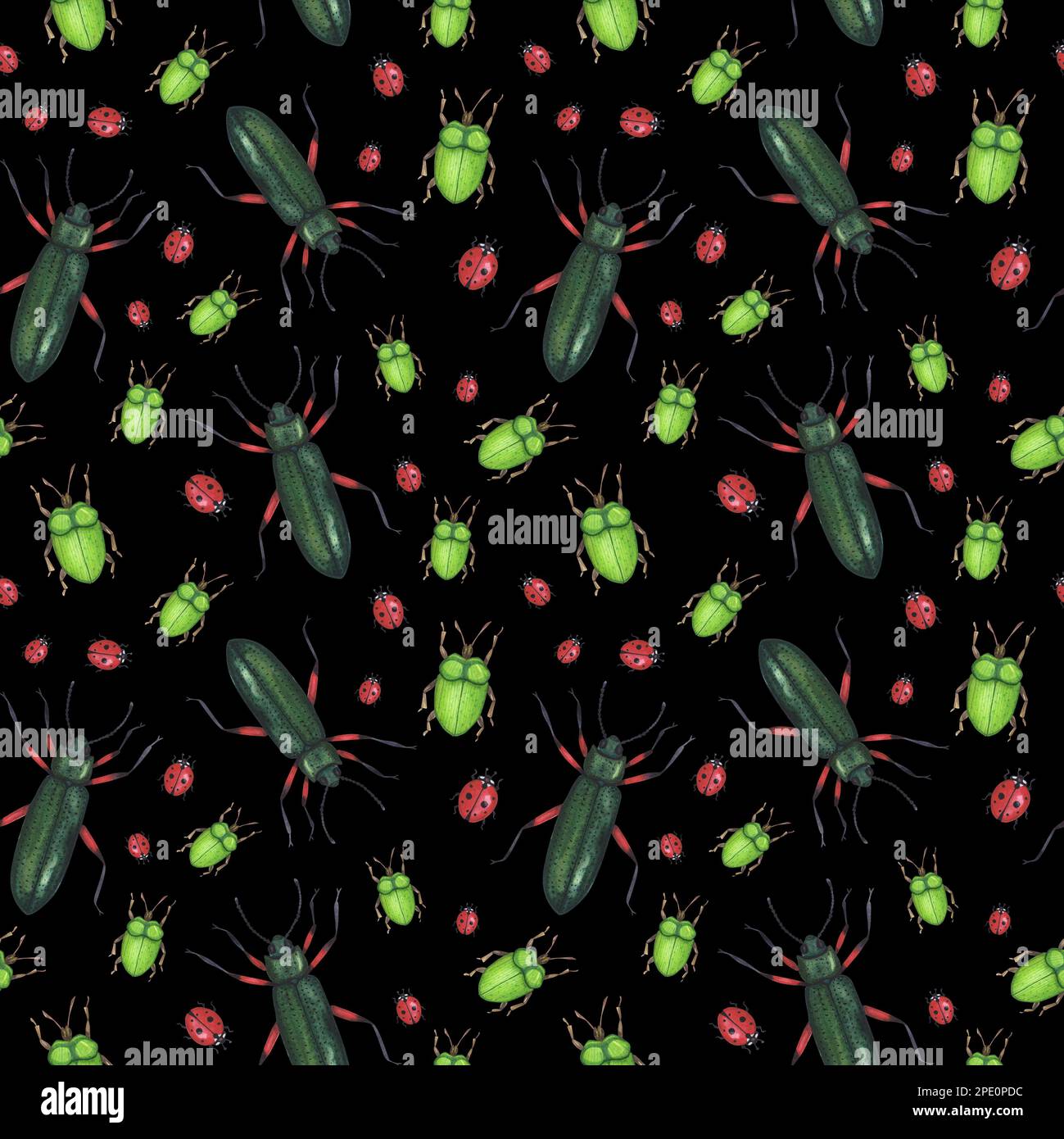 Seamless pattern Realistic beetles insect isolated on white background ...