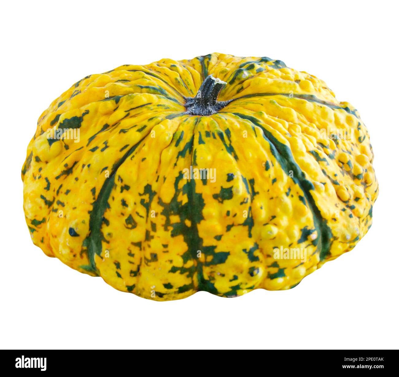 Pumpkin Patisson isolated on white background Stock Photo - Alamy