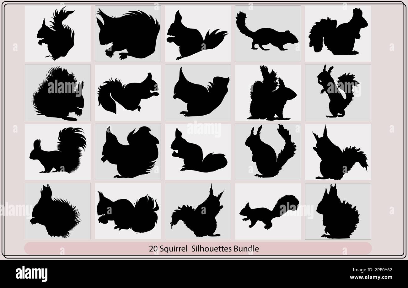 Black vector silhouette of squirrels hi-res stock photography and ...