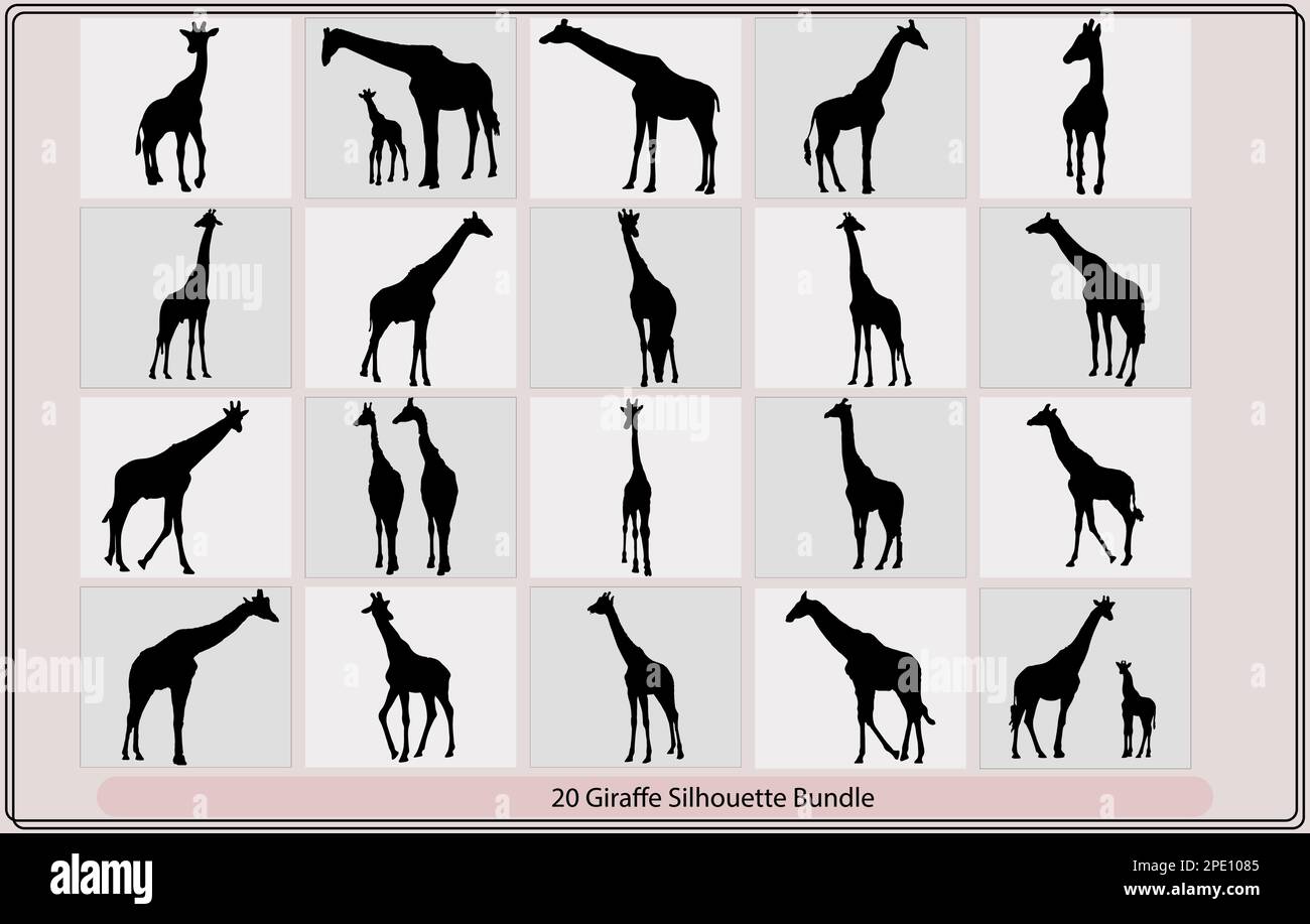 Giraffe black white silhouette hi-res stock photography and images - Alamy