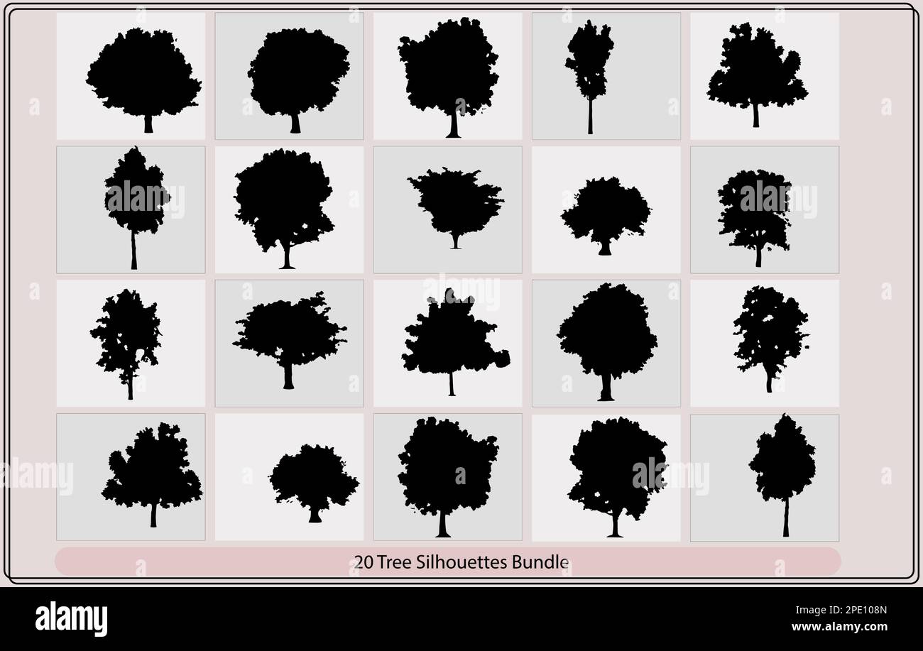 Pine and oak tree Stock Vector Images - Alamy