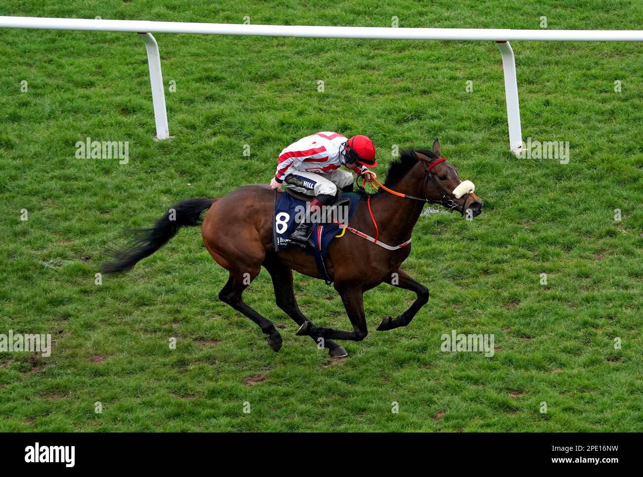 The real whacker horse hi-res stock photography and images - Alamy