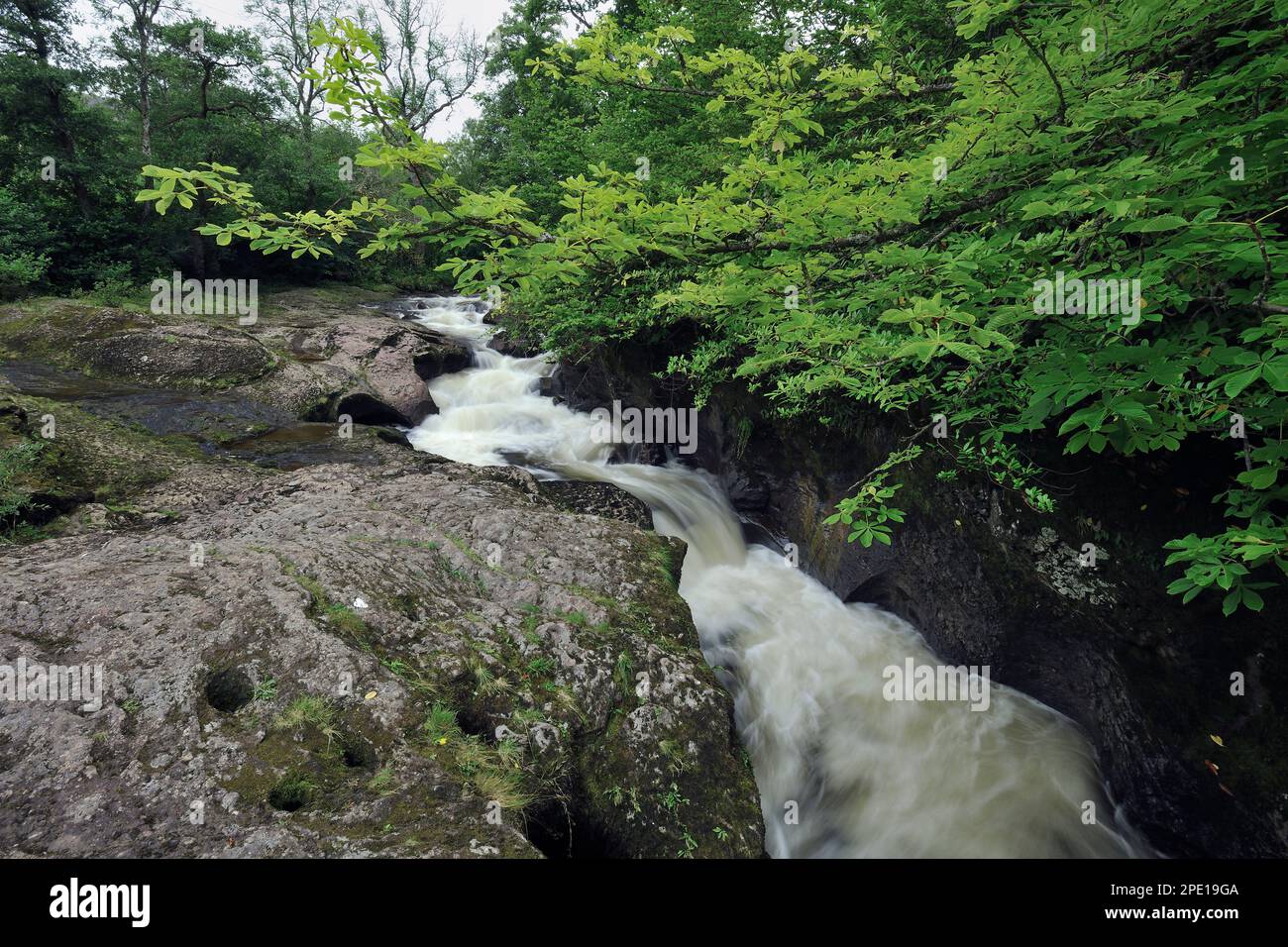 Buchanty Spout waterfall on the River Almond a tributary of the River ...