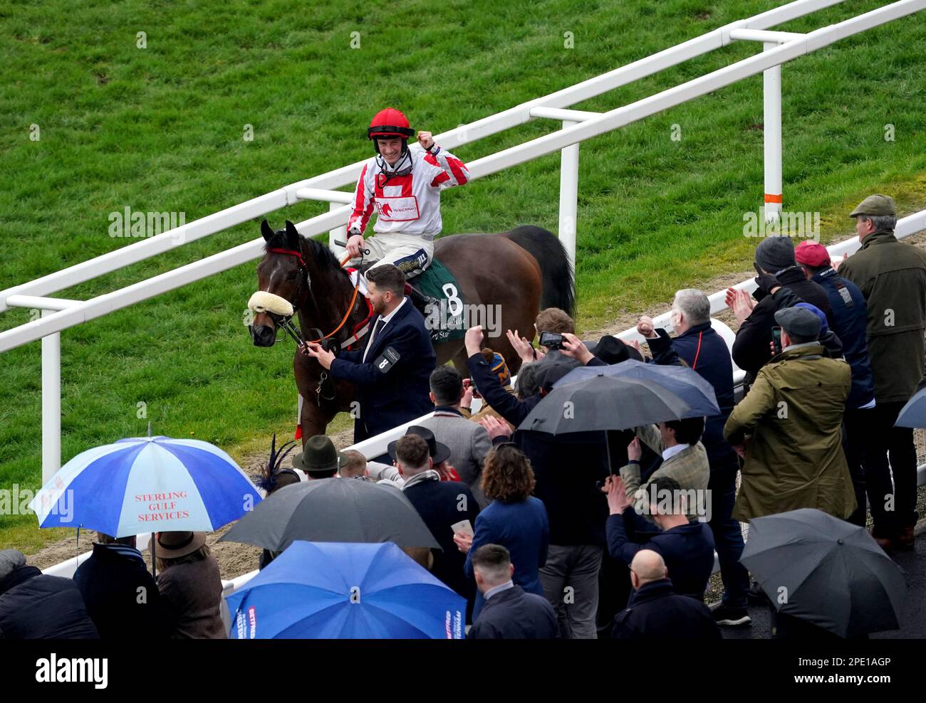 The real whacker horse hi-res stock photography and images - Alamy