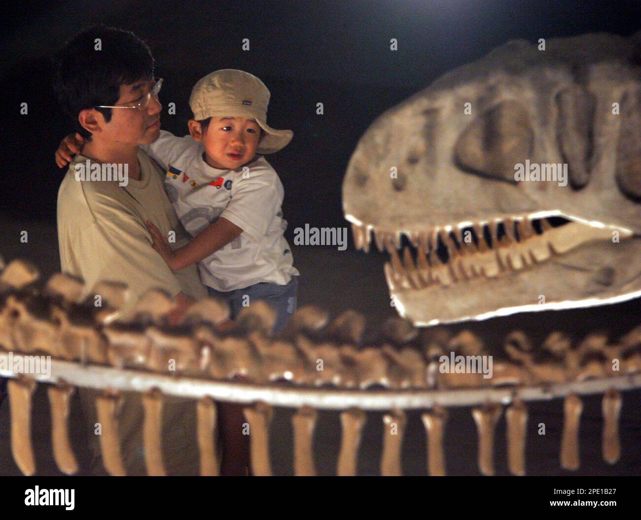 A child appears to be terrified by the skeleton head of Szechuanosaurus ...