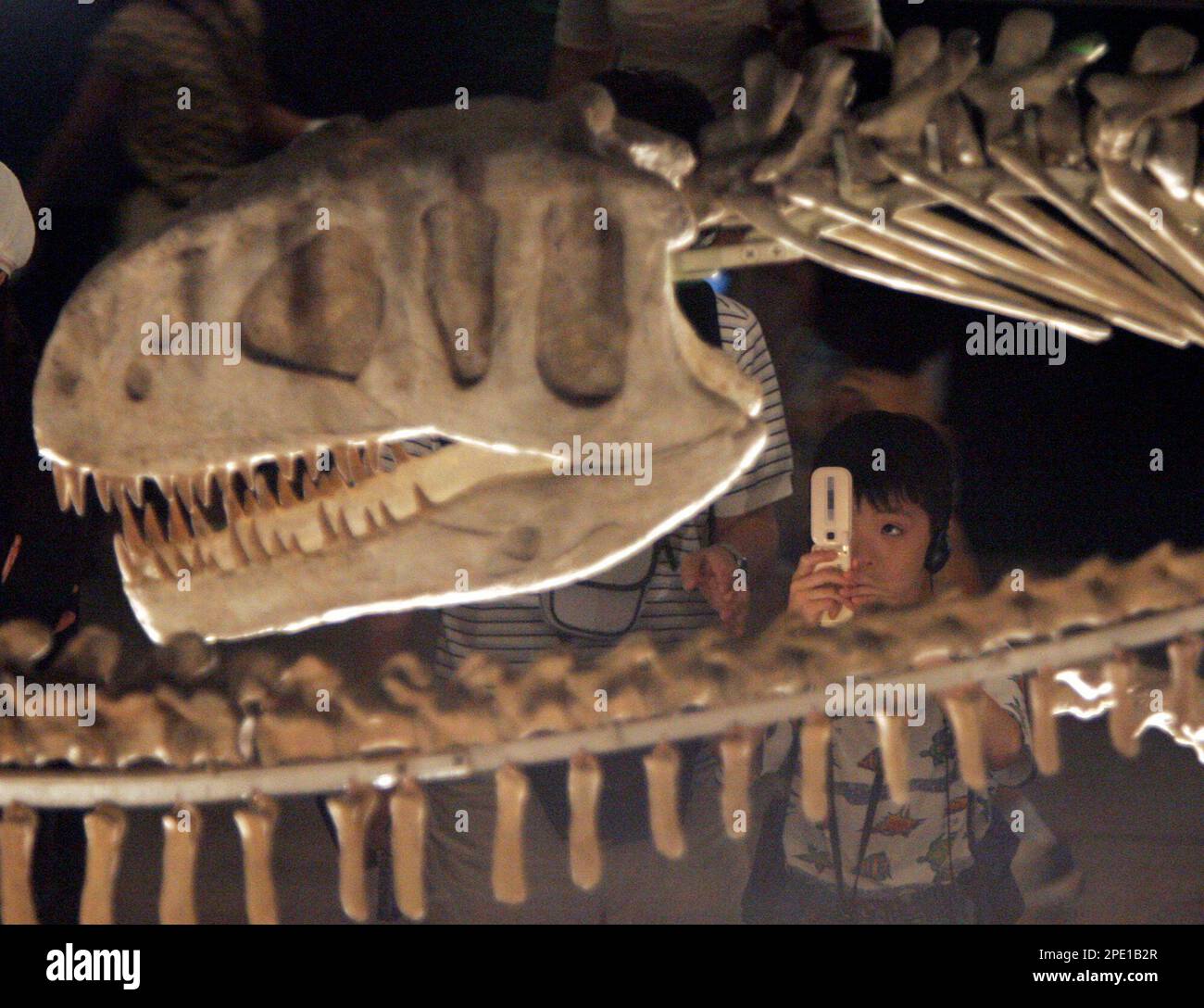 A child aims his mobile phone camera at the skeleton head of ...