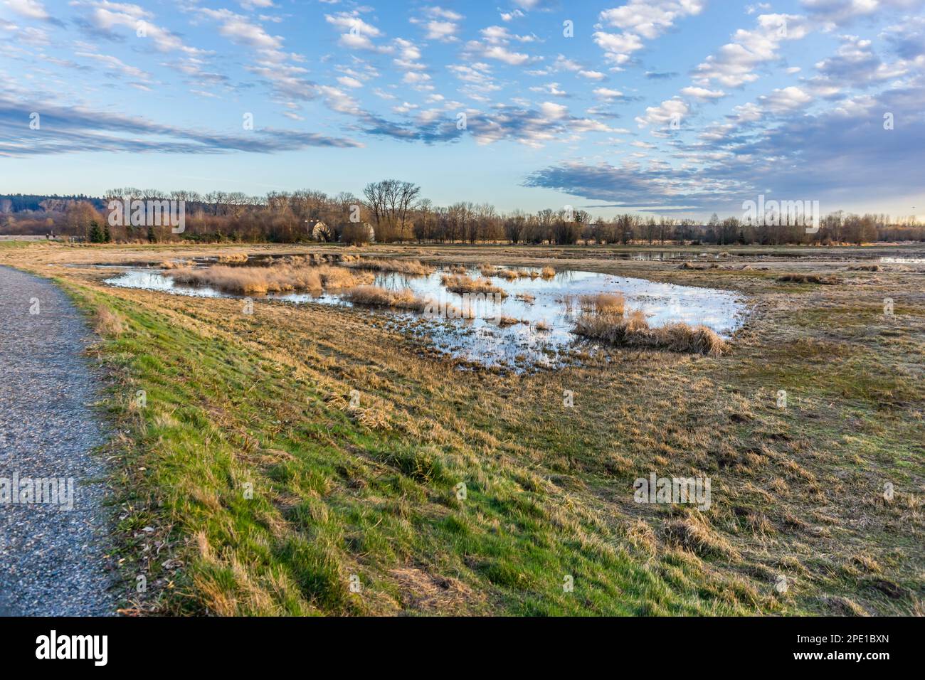 A landscape shot of the Nisqully Wetlands estuary in Washingotn State ...