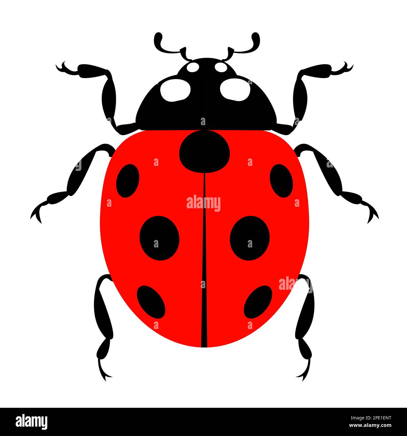 Ladybird beatle Stock Vector Images - Alamy