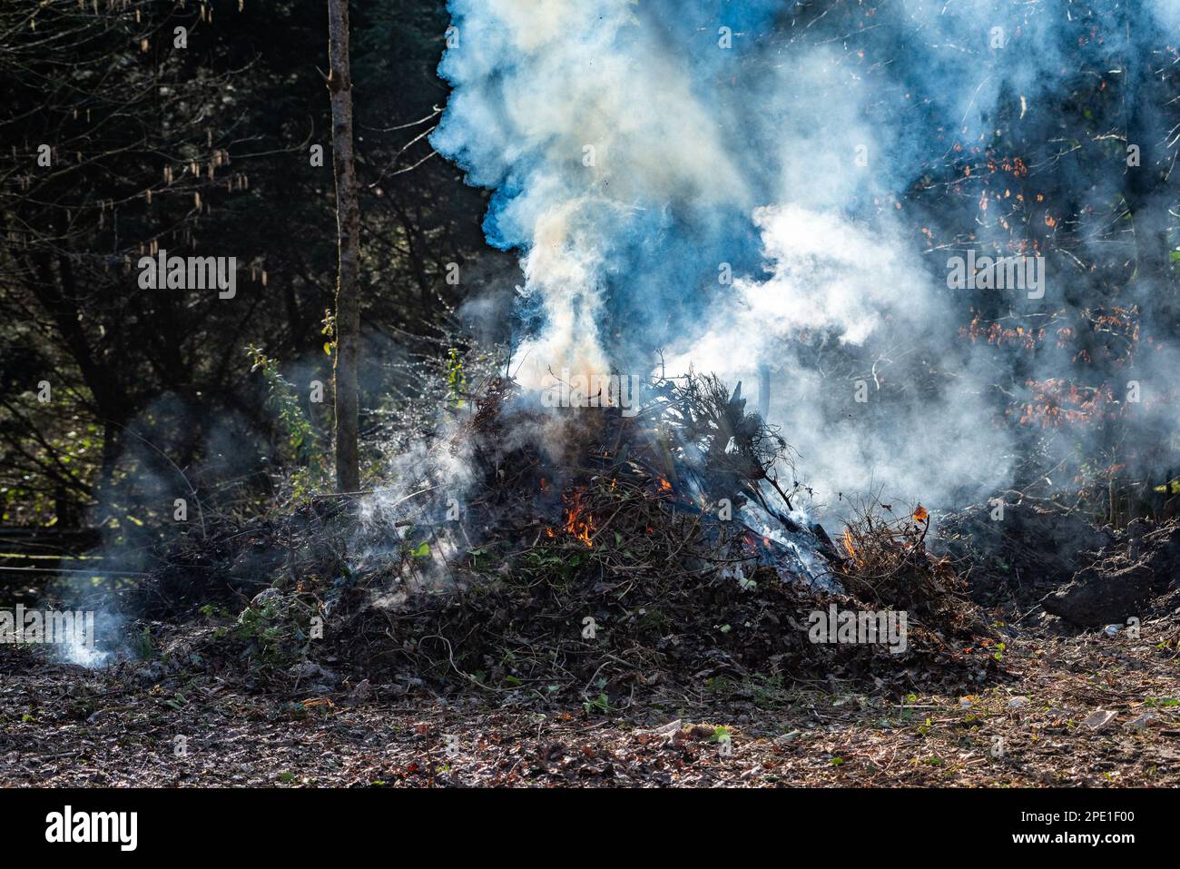 A garden bonfire with smoke, Arnside, Milnthorpe, Cumbria, UK Stock ...