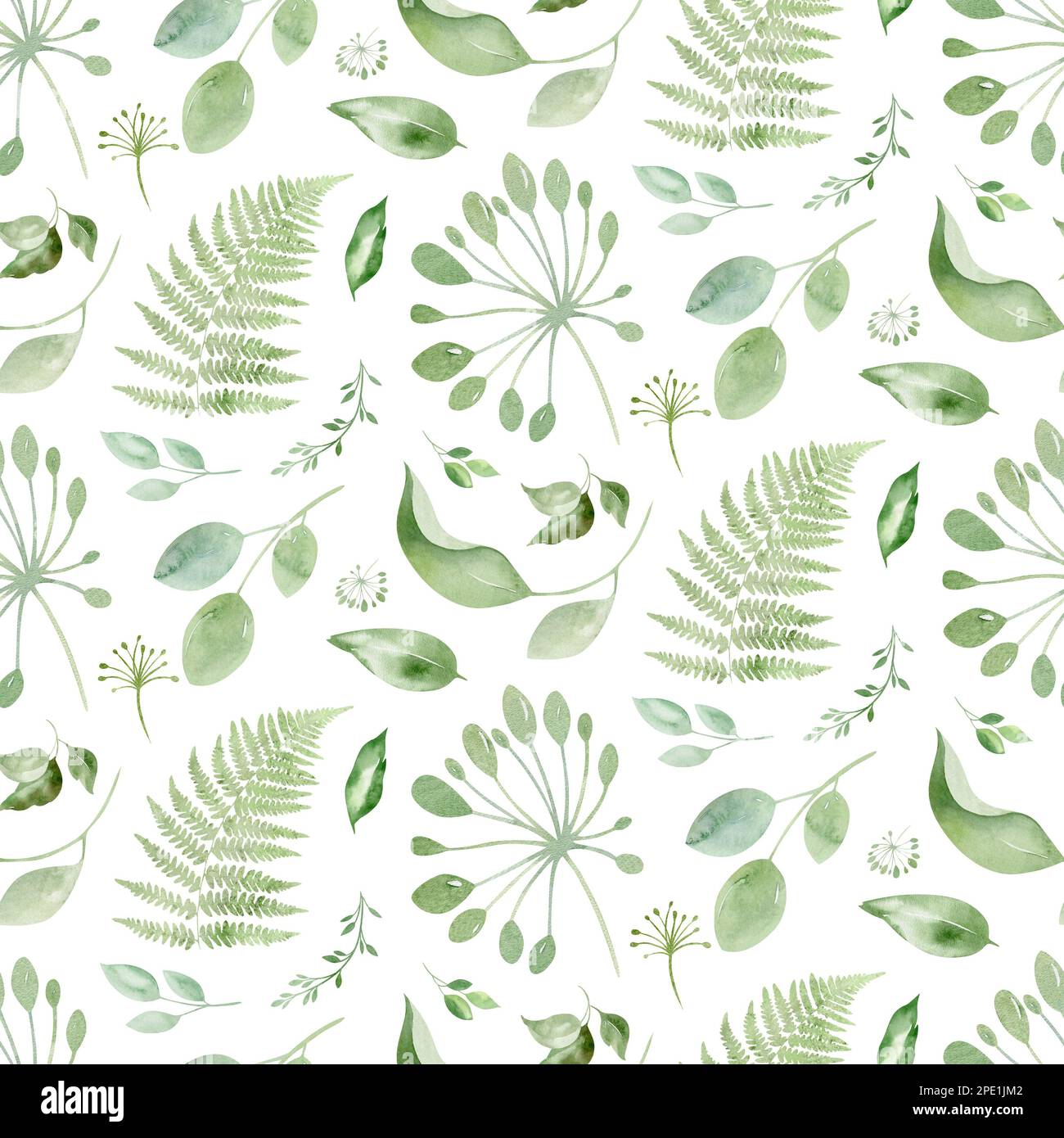 Watercolor seamless pattern floral background flowers, plants, leaves ...