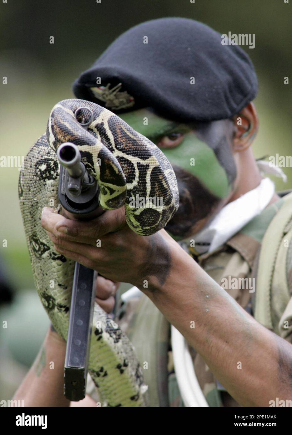 A soldier carries a live boa constrictor on his machine gun during a ...