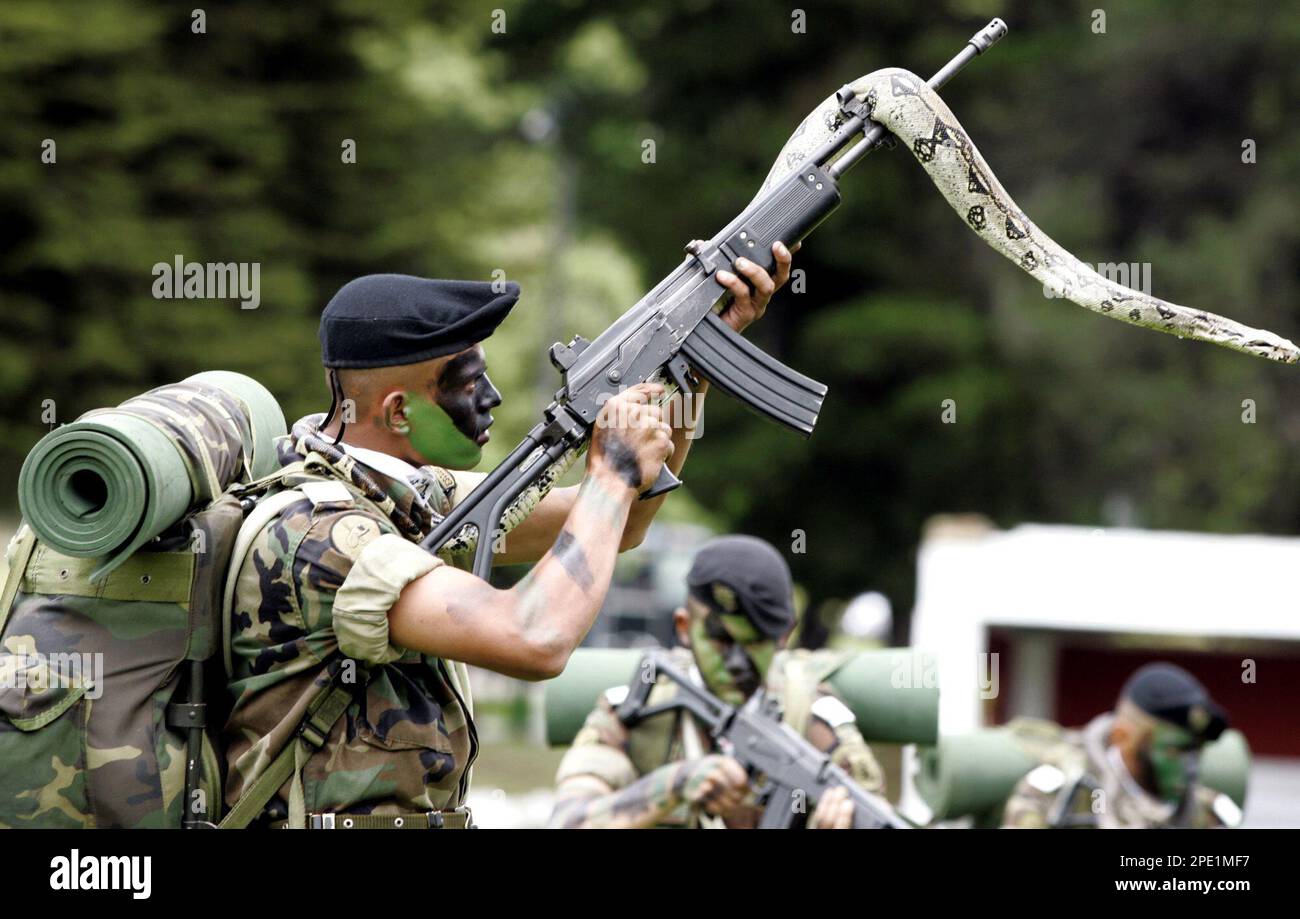 A live boa constrictor coils onto the machine gun of a soldier during a ...