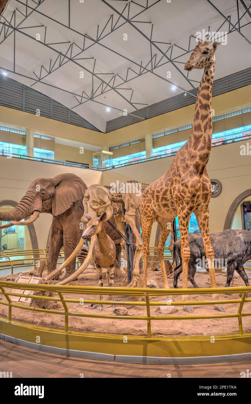 Crafts in Kenya Stock Photo - Alamy