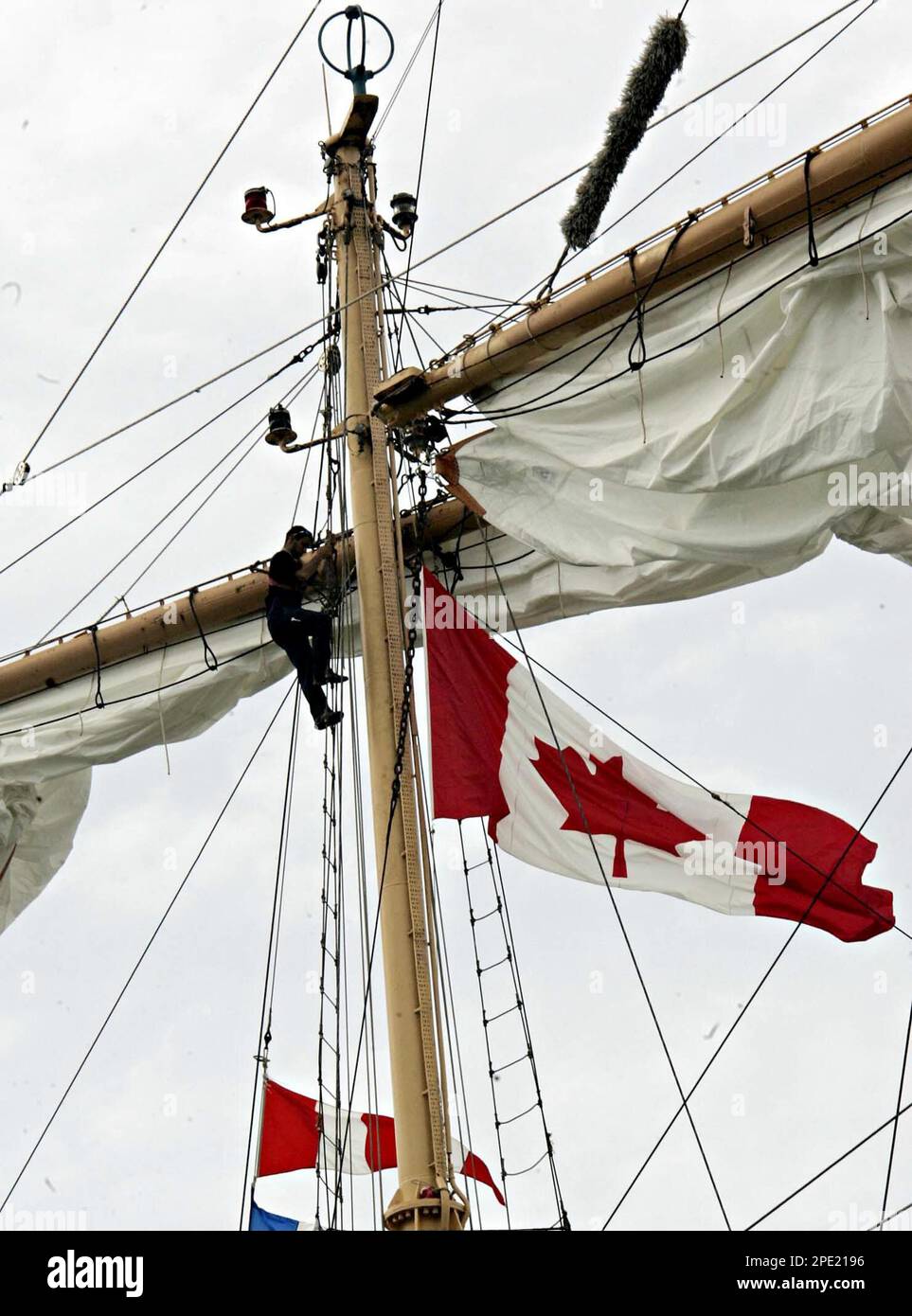 A crew member of the Russian tall ship Pallada works to untangle the ...