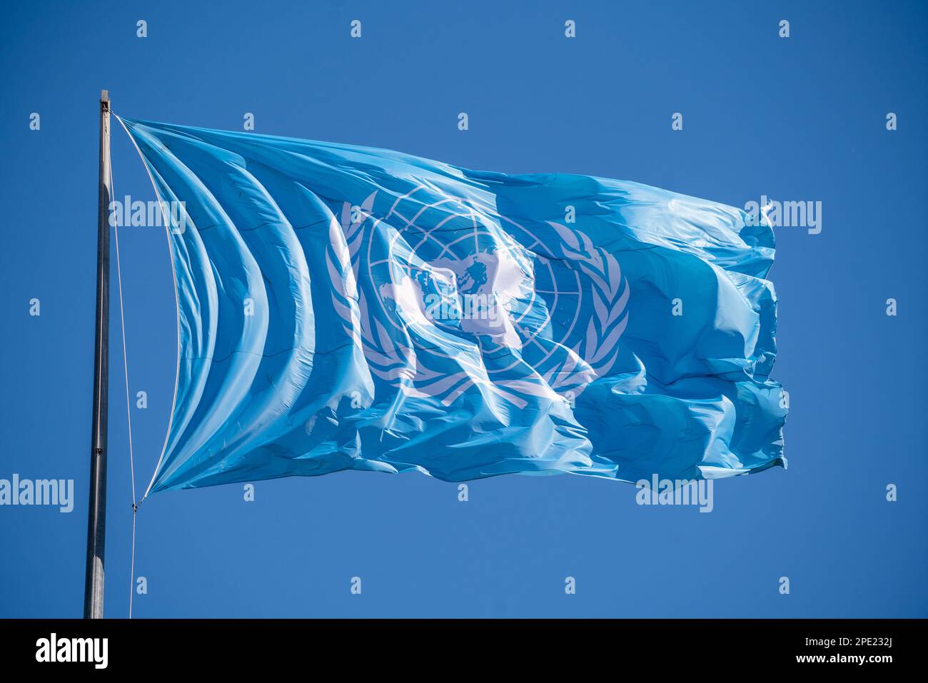United nations flag flying Stock Photo - Alamy