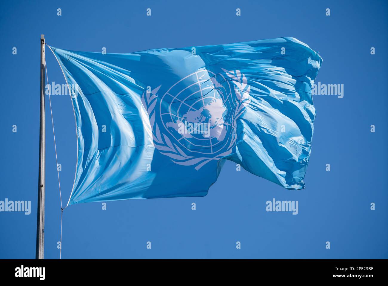 United nations flag flying Stock Photo - Alamy