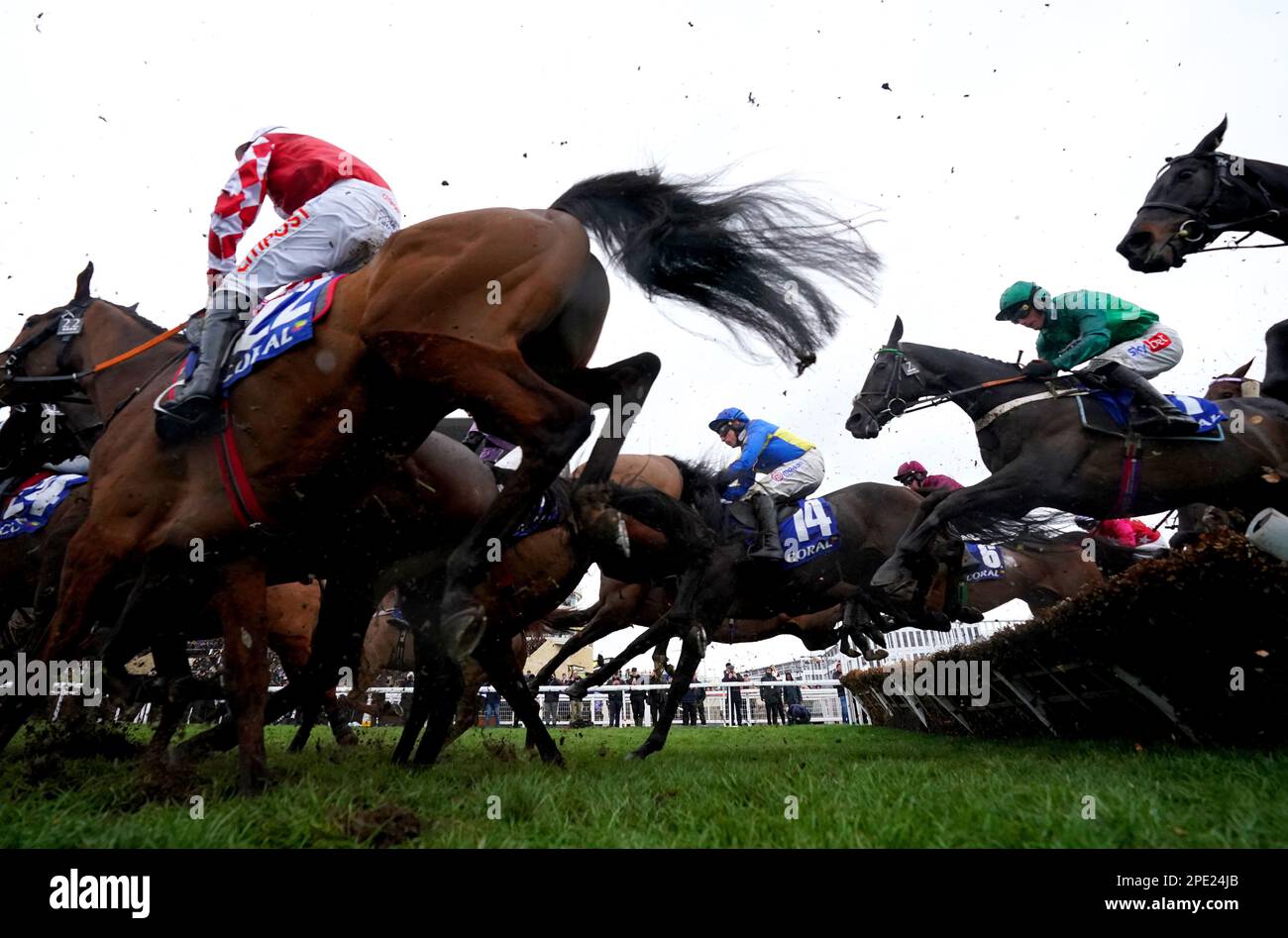 Langer dan cheltenham hi-res stock photography and images - Alamy