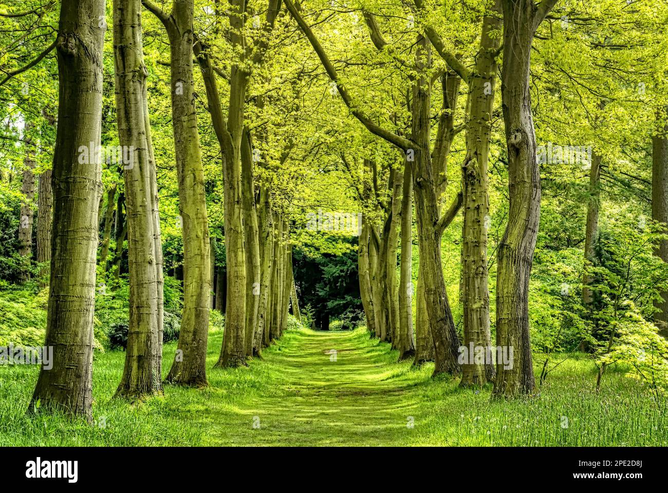 Thorp perrow arboretum wildlife park bedale hi-res stock photography ...