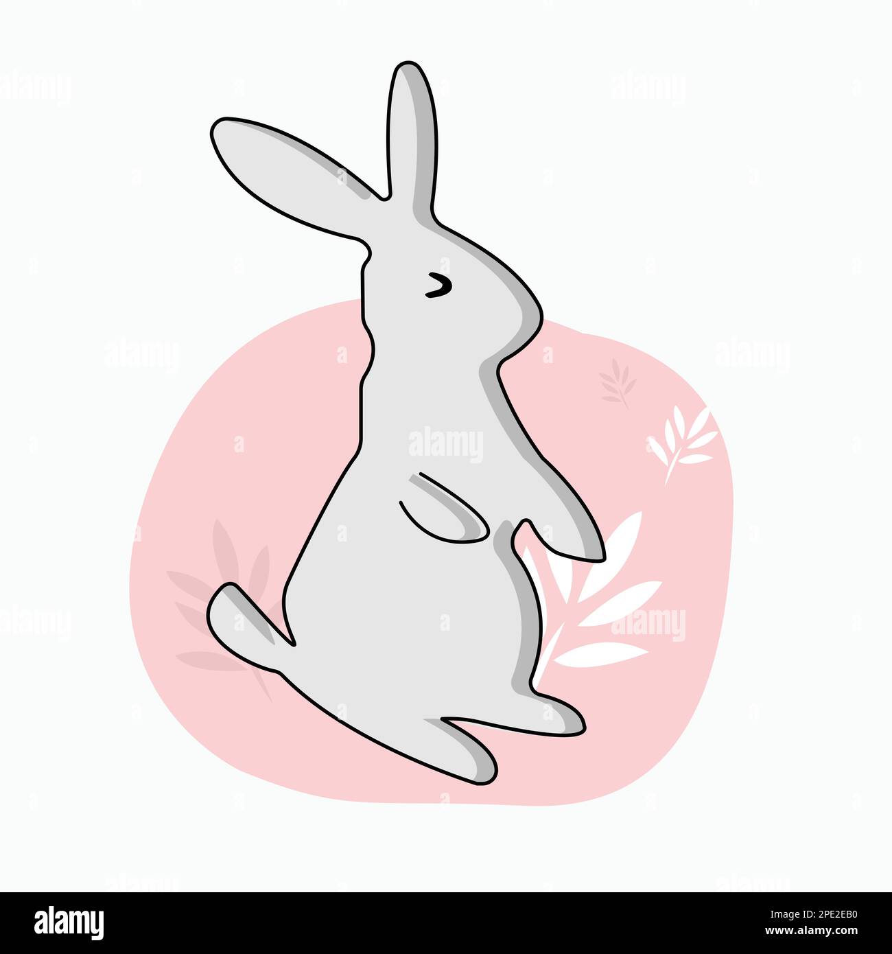 Happy Rabbit Pictures