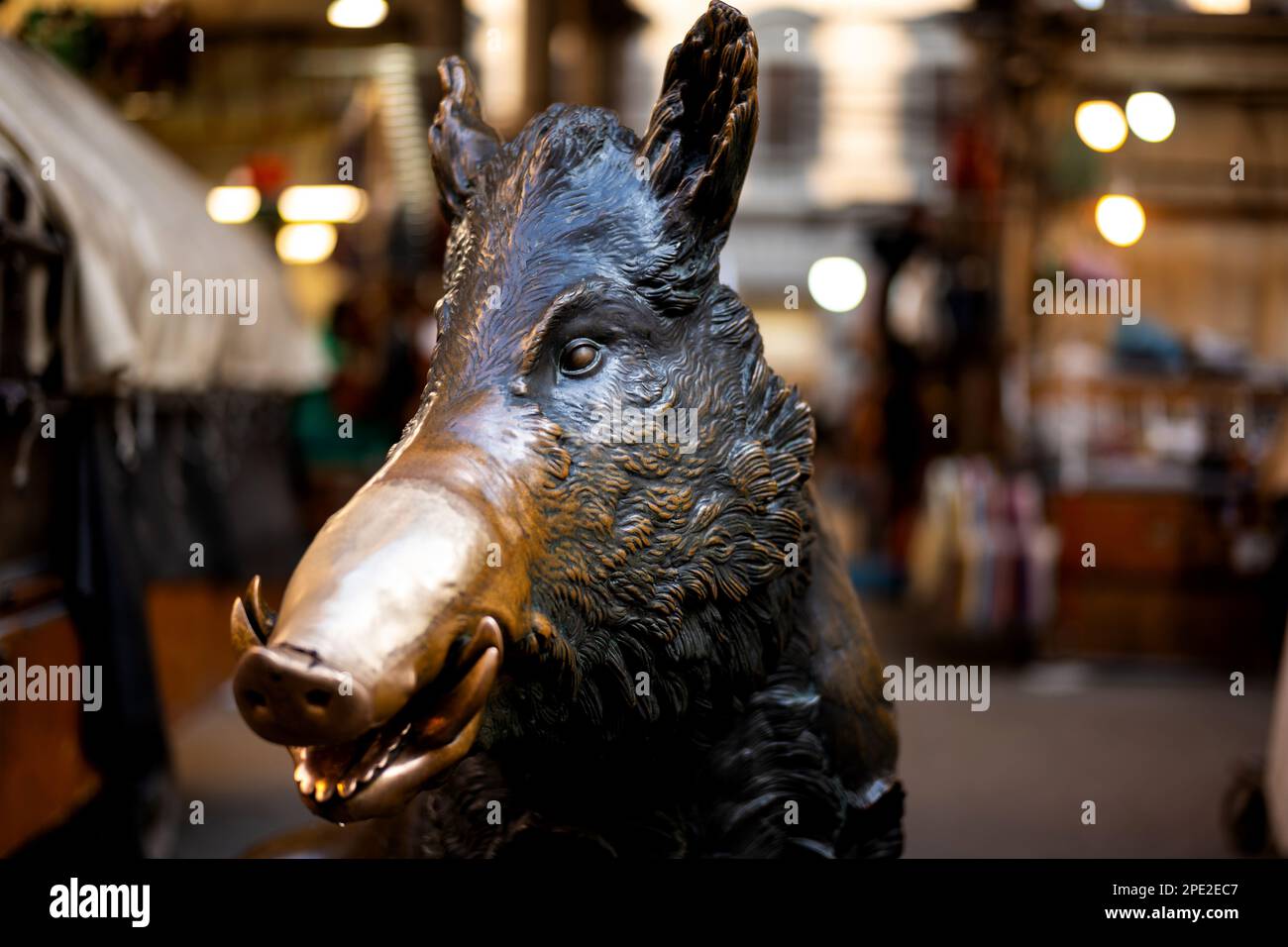 Florence wild boar hi-res stock photography and images - Alamy