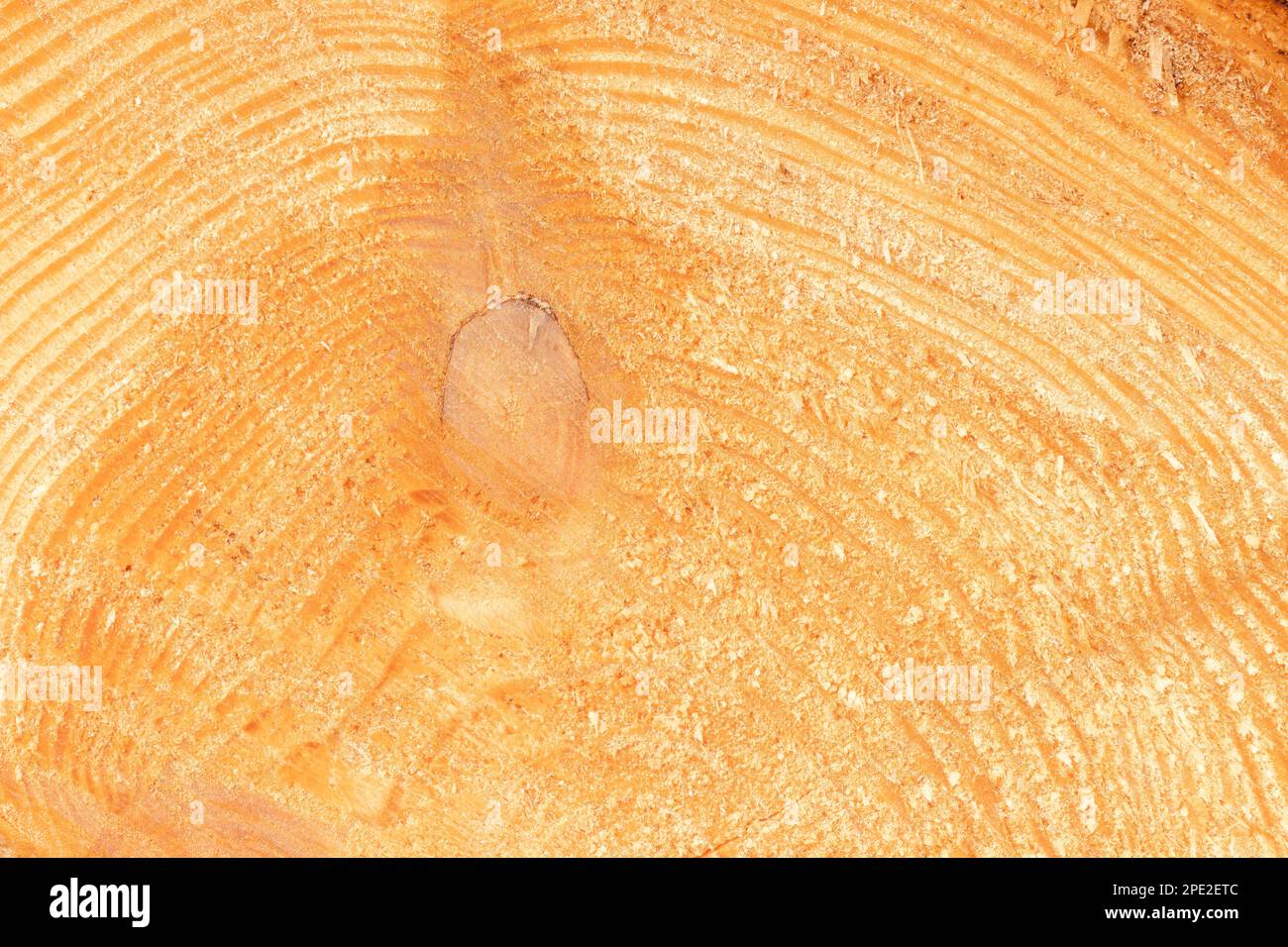 Cross section of banner hi-res stock photography and images - Alamy
