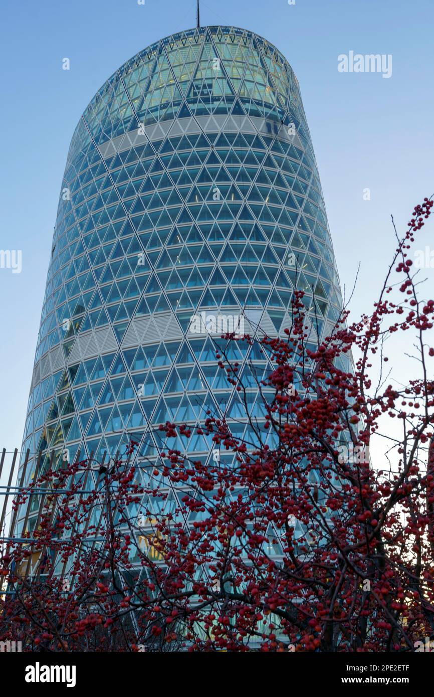 Nido verticale hi-res stock photography and images - Alamy