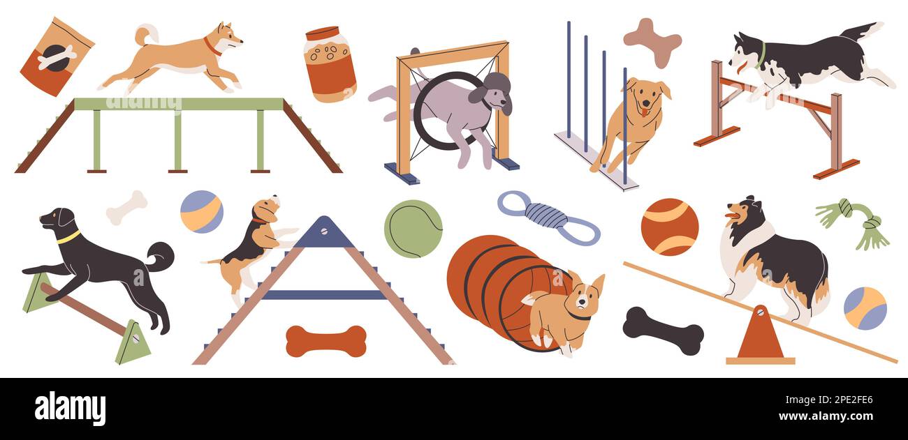 Dog agility. Pets train on their own, animal simulators, different ...