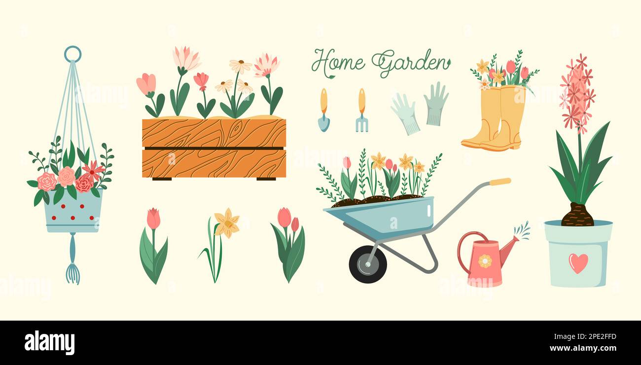 Home gardening hobby illustrations set. Vector plants, flowers, and ...