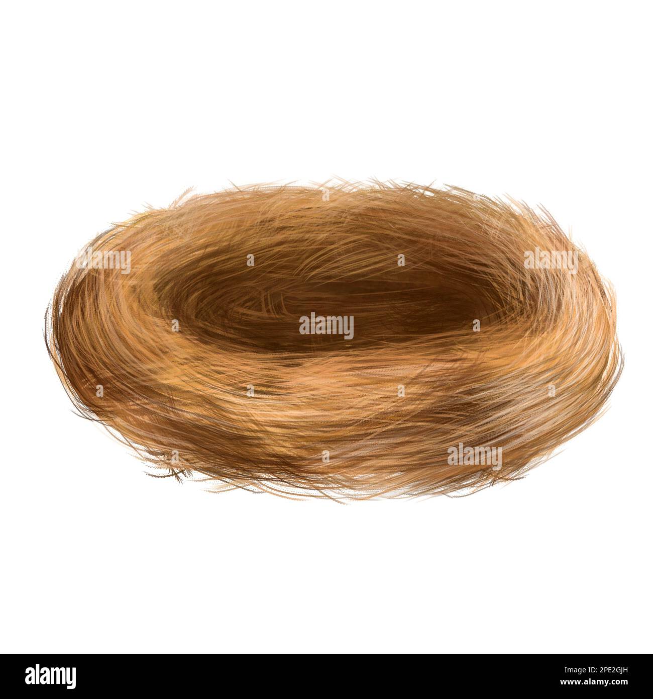 Bird's nest of hay and twigs. For compositions, design, posters Stock ...