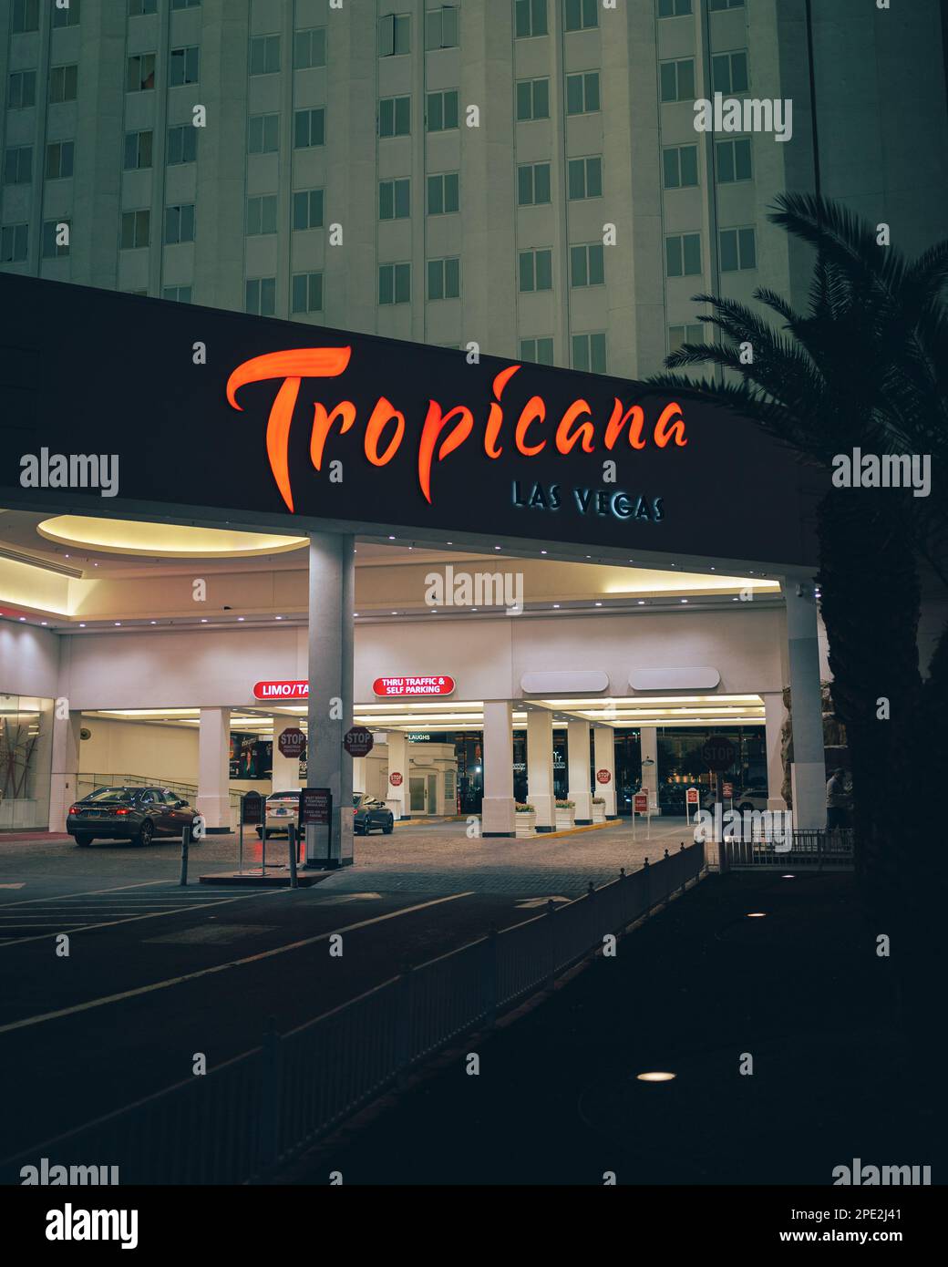 Tropicana Hotel Logo