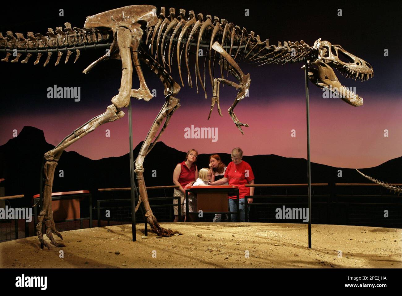 Visitors to the Burpee Museum of Natural History look at the skeletal ...