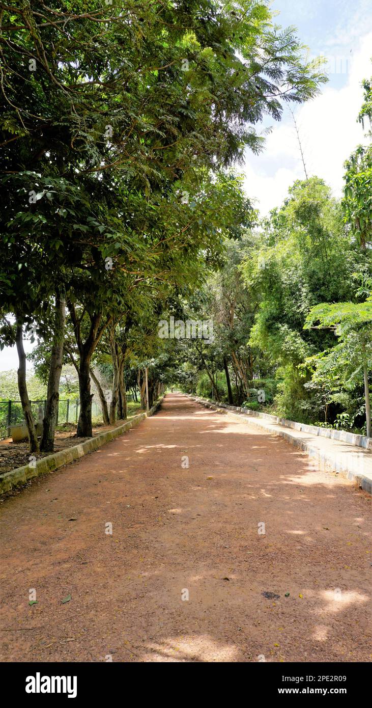 Portrait view of walking lane of Agara lake. Well maintained lakes and ...