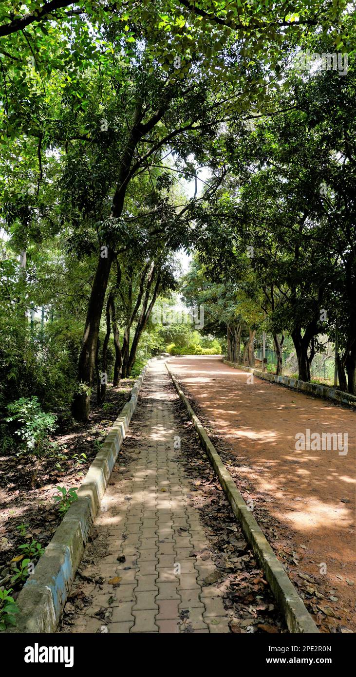 Portrait view of walking lane of Agara lake. Well maintained lakes and ...
