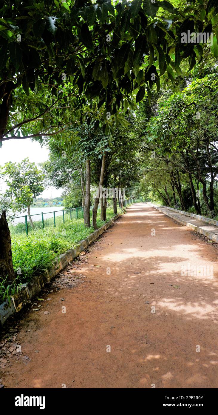 Portrait view of walking lane of Agara lake. Well maintained lakes and ...