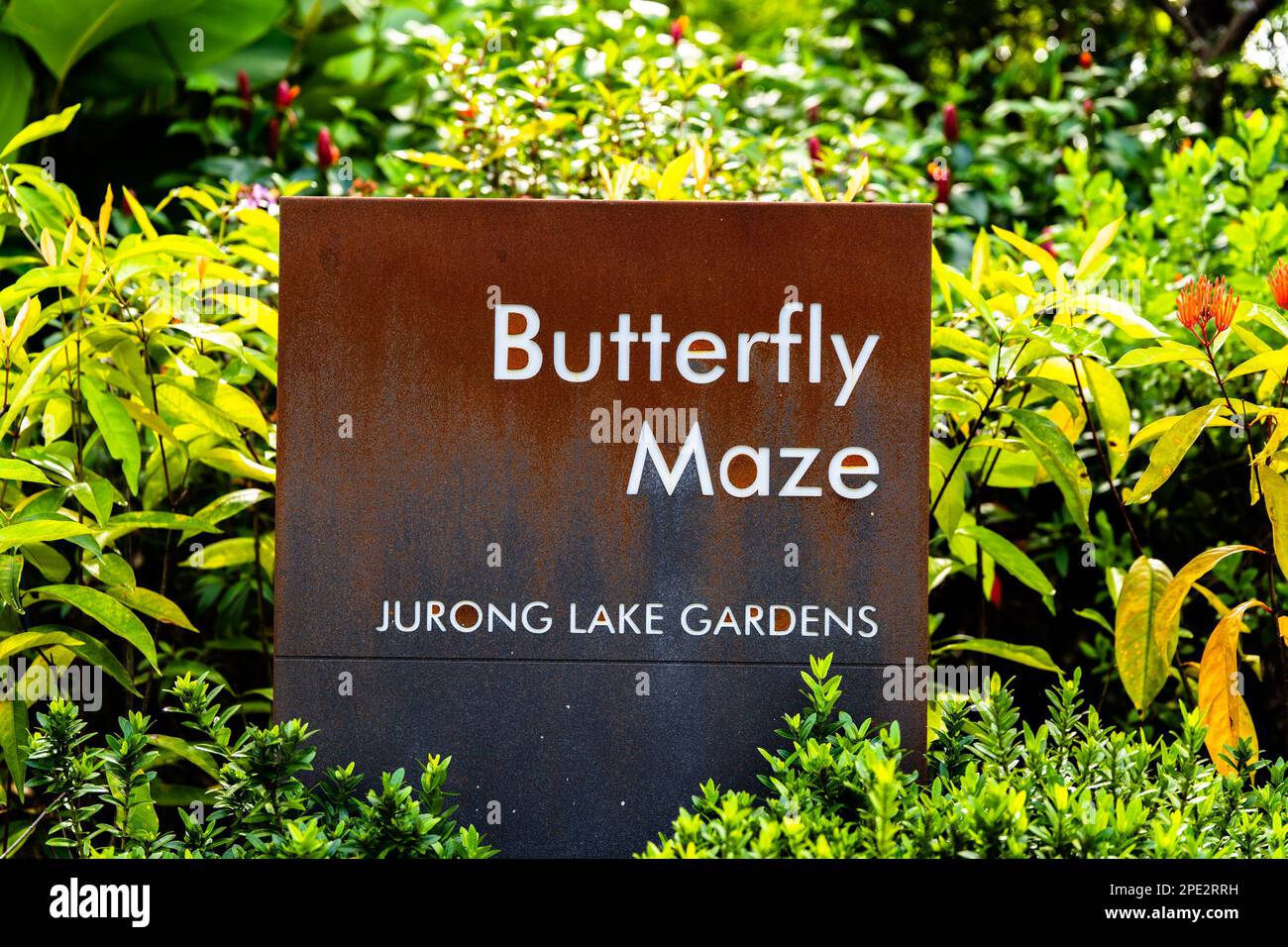 National Parks, Butterfly Maze Stock Photo - Alamy