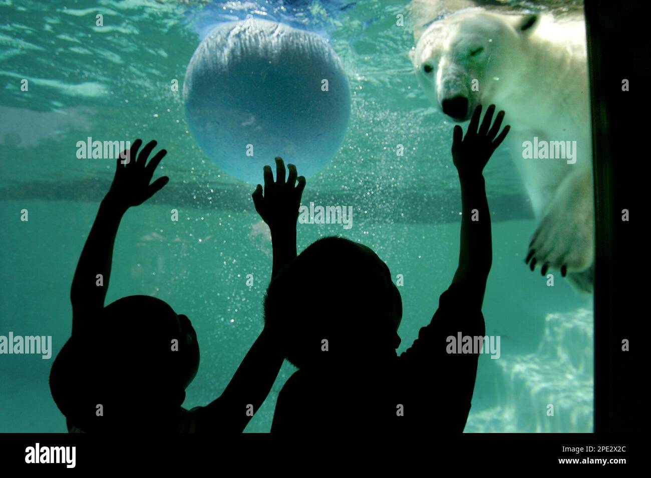 Children visiting the Philadelphia Zoo try to get the attention of ...